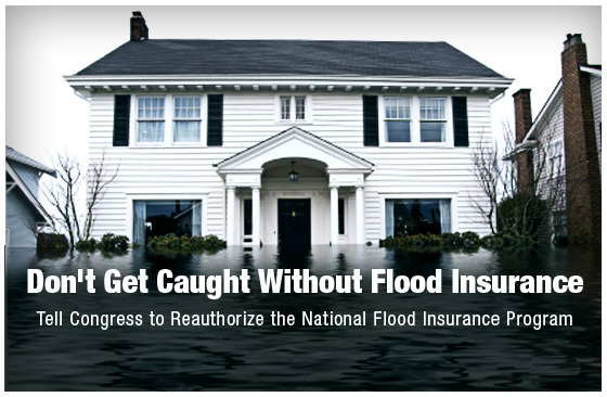 Call for Action: Tell Congress to Reauthorize the National Flood ...